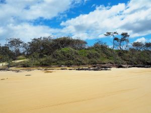 4WD Around Fraser Island, Australia ⋆ Who do I do