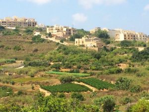 How to Spend a Day in Gozo ⋆ Who do I do