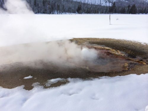 Snowmobiling in Yellowstone National Park, Wyoming - Old Faithful Tour ...